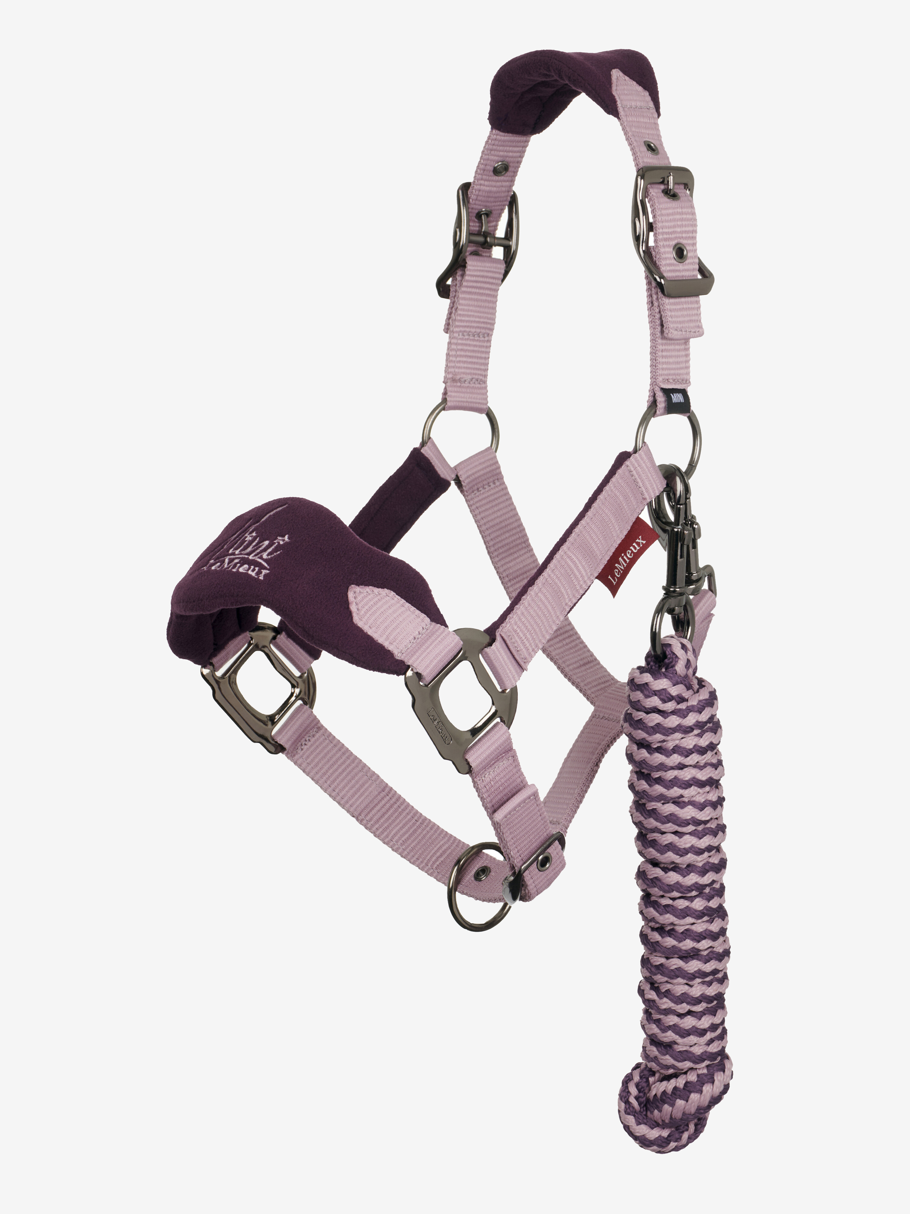 Mini Vogue Headcollar & Leadrope Fig New