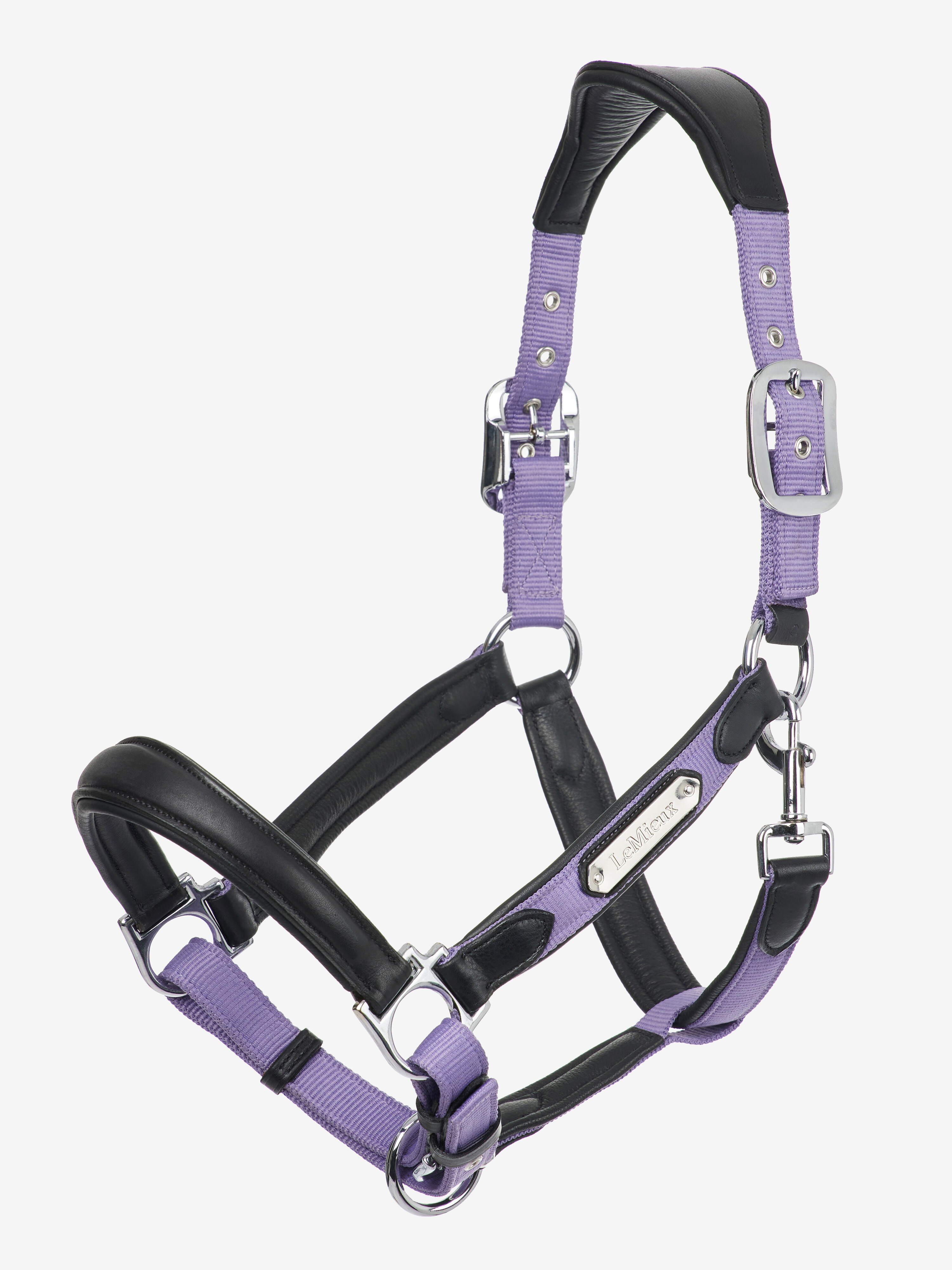 Capella Headcollar Iris Horse