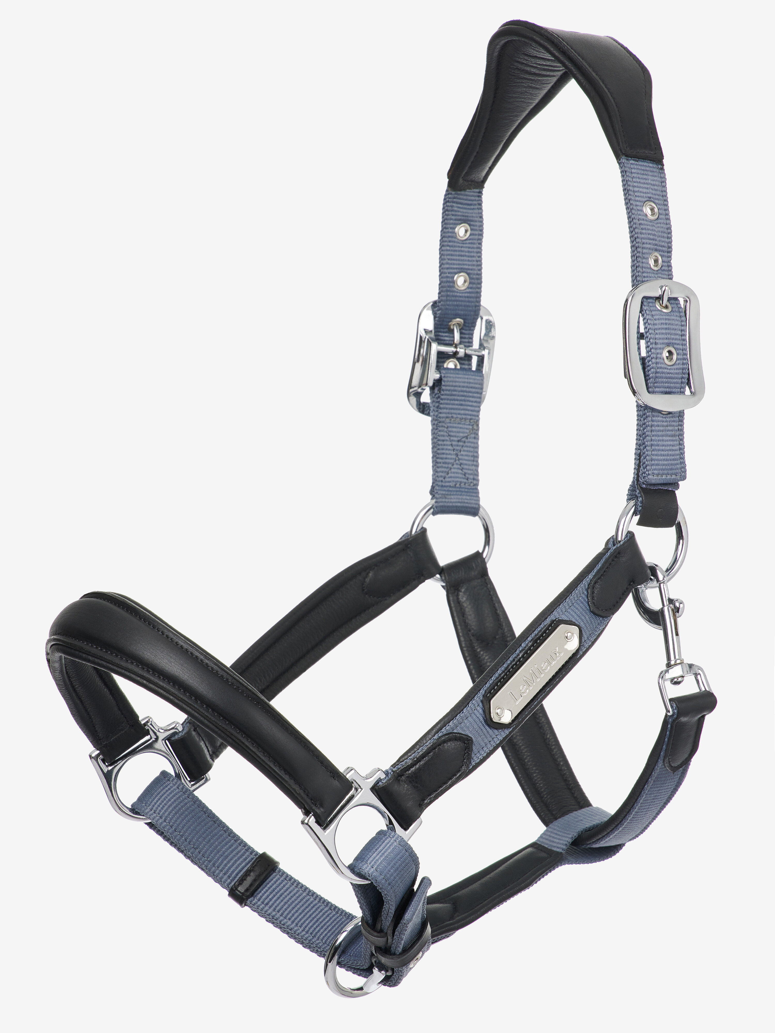 Capella Headcollar Jay Blue Horse