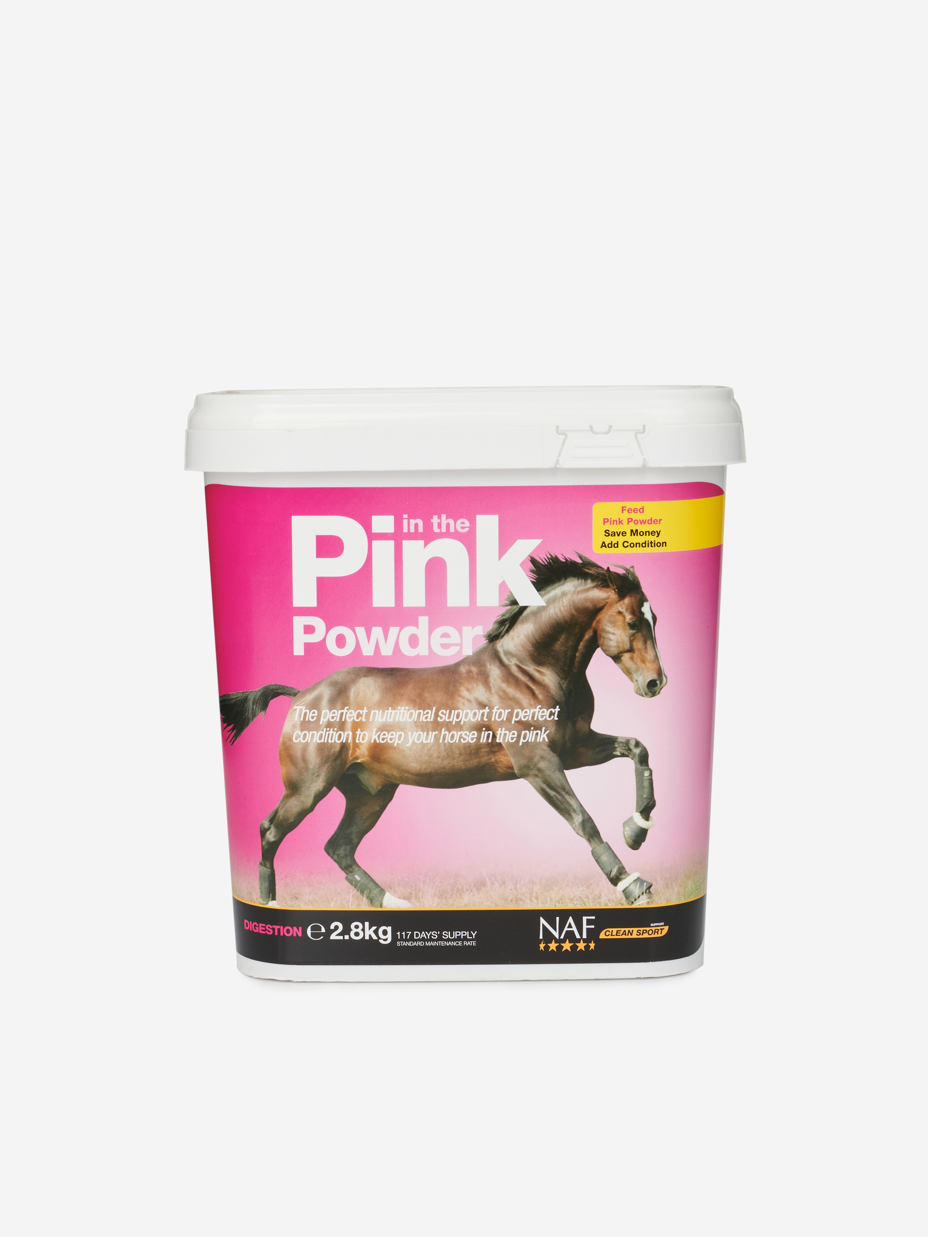 Pink Powder Horse