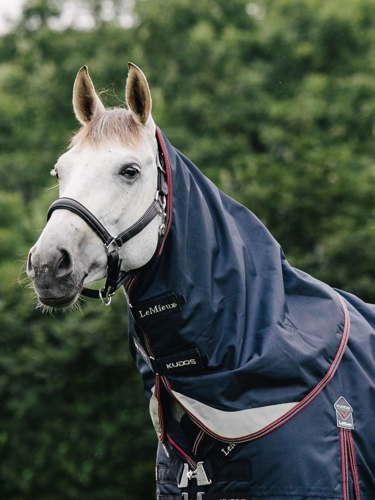Kudos Turnout Neck Cover 200g Navy Horse