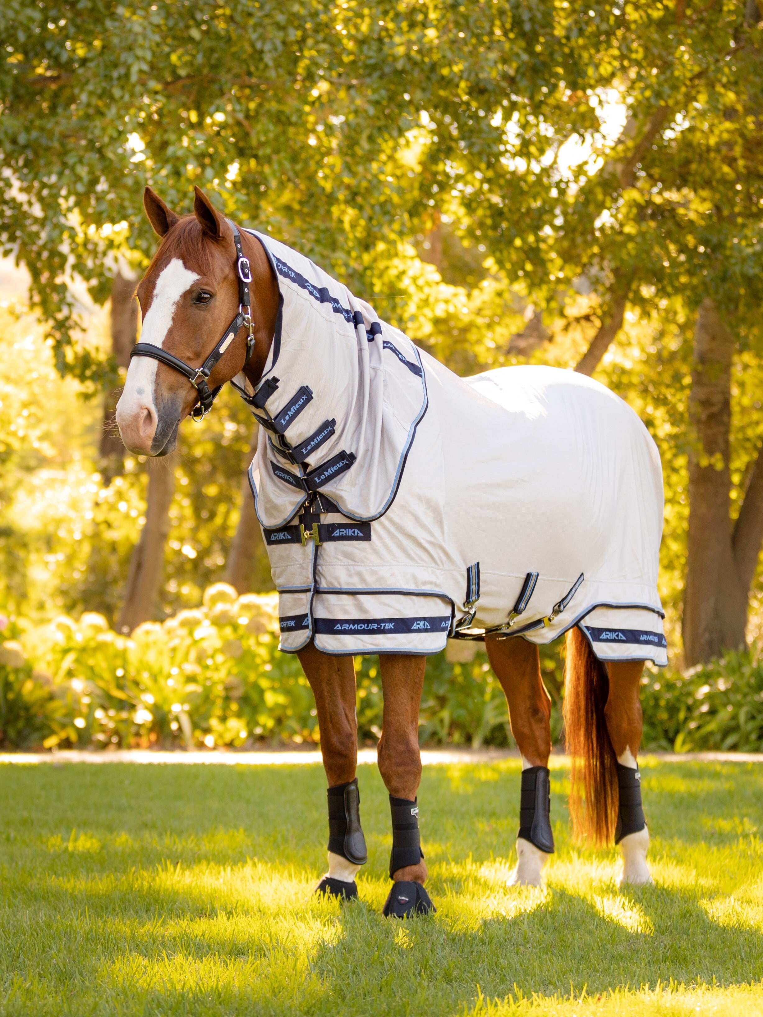 Arika Armour-Tek Fly Rug New