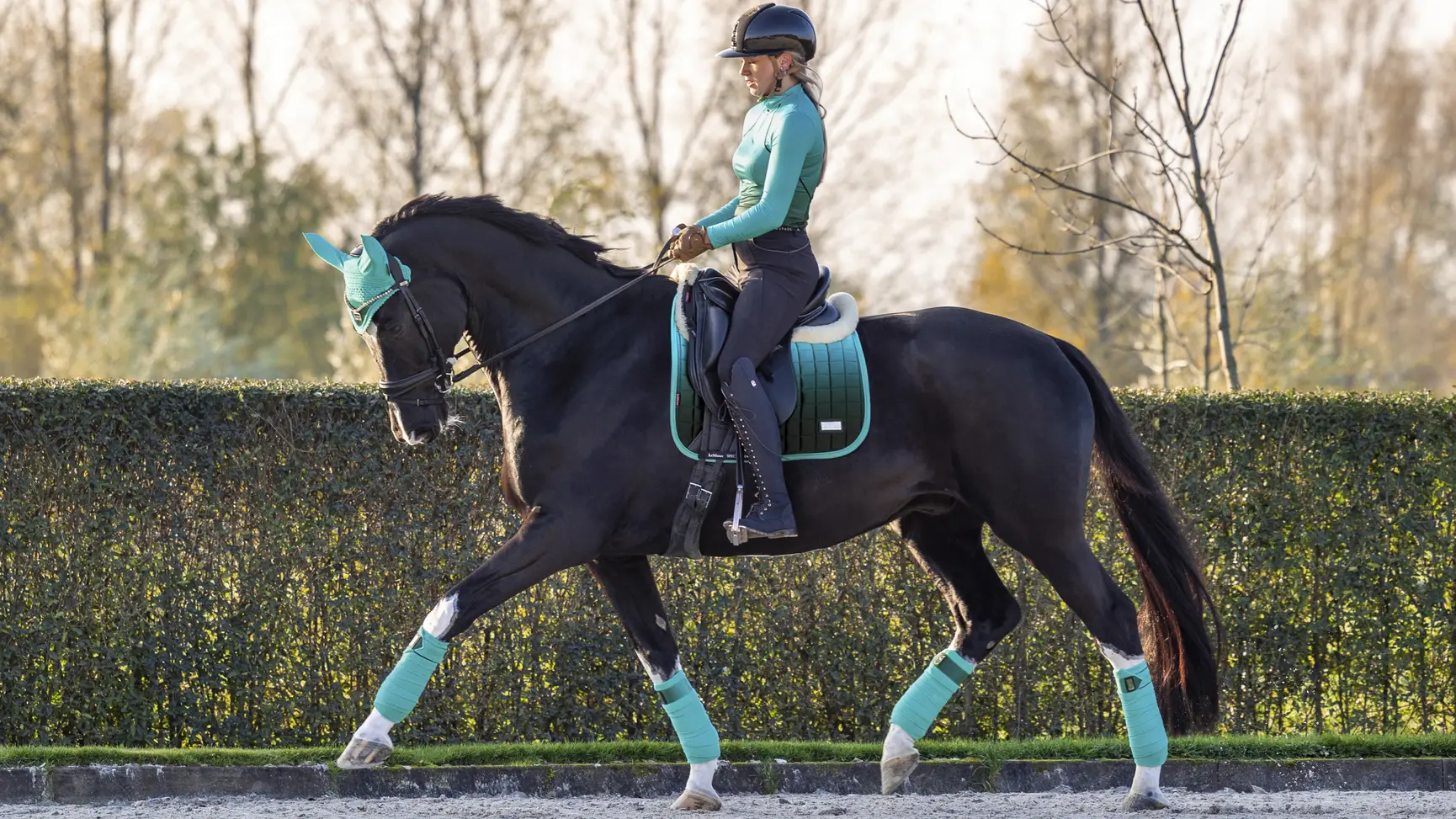 I saw this set and immediately fell in love, so I edited it onto my ...