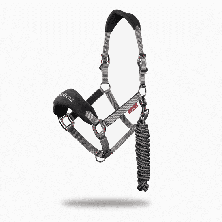 lime green headcollar