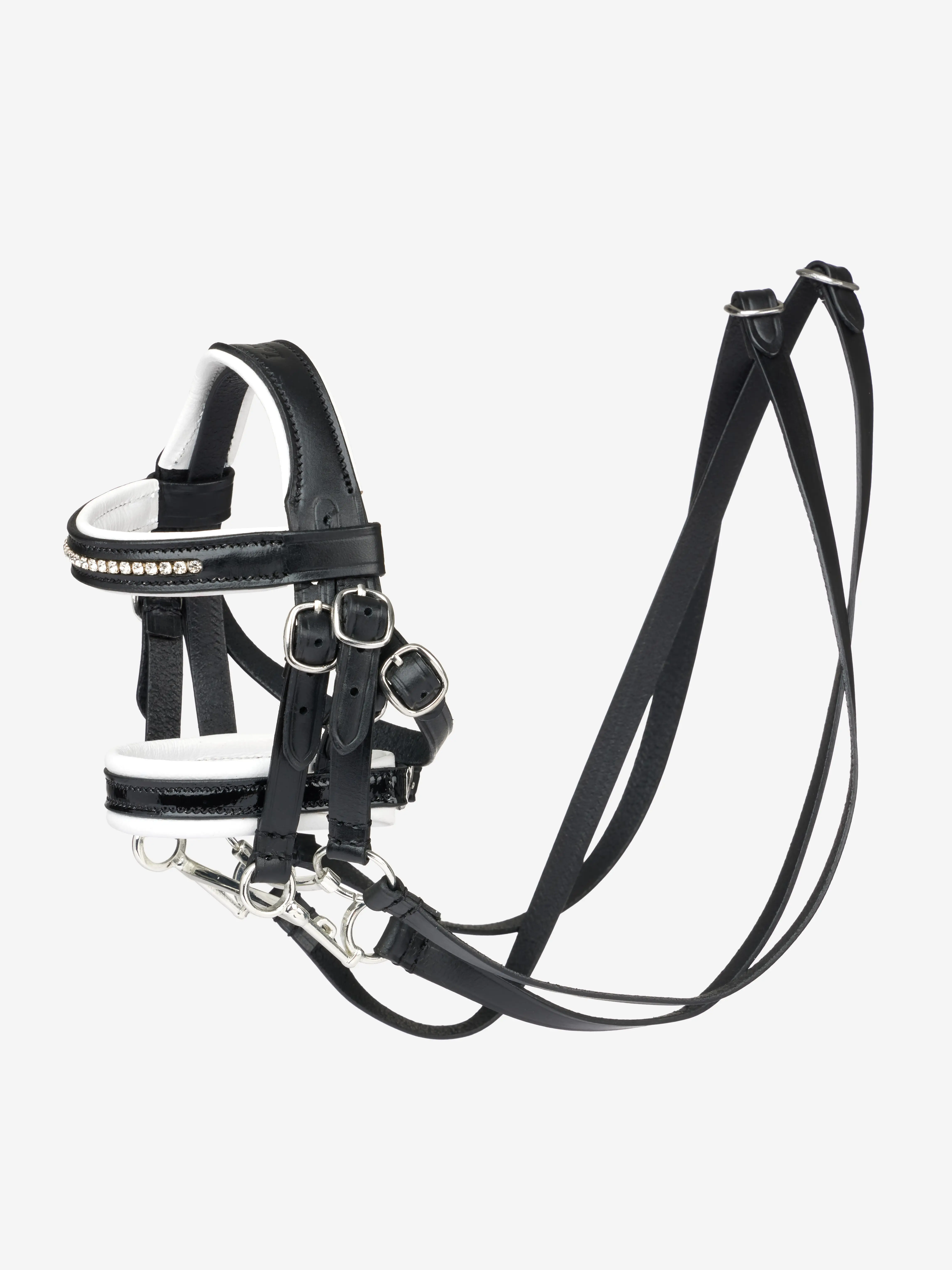 Busse Double Bridle